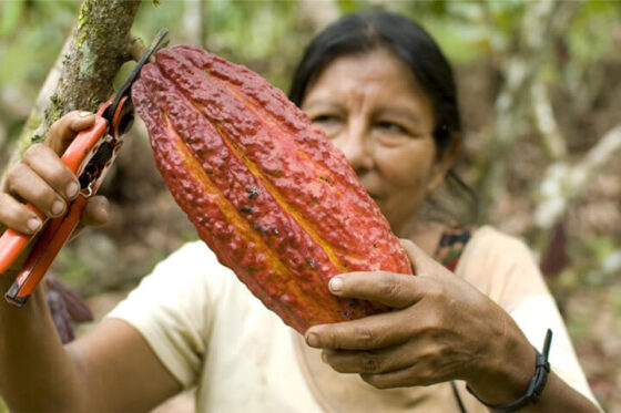 Die GEPA - The Fair Trade Company: Für Fairness und Nachhaltigkeit in ...